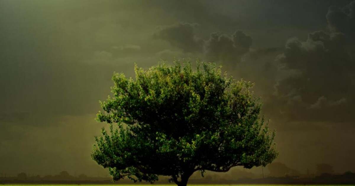 Kelta fahoroszkóp | Astronet